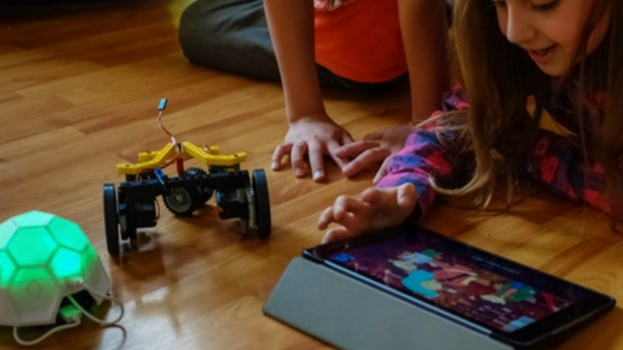 Bucky Robot: Aprende bases de robótica, programación e internet de las ...