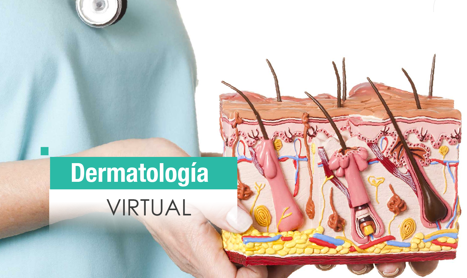Curso virtual dermatología* - Revive Entrenamiento Médico Integral